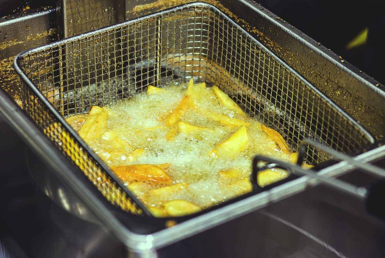 Commercial Fryer Guide: Which Is The Right One For Your Restaurant ...